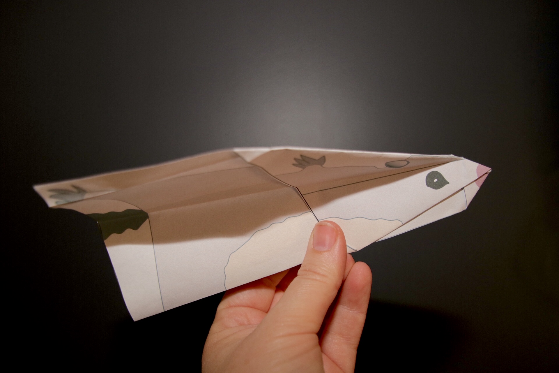 Squirrel Gliders – Wirraminna